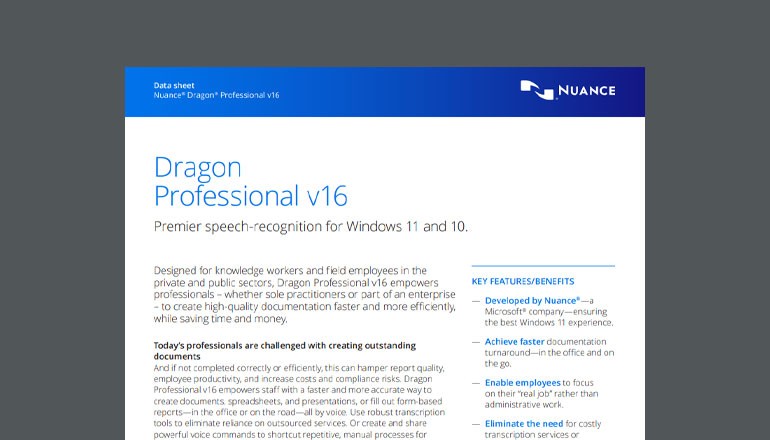 Dragon Professional v16 | Insight