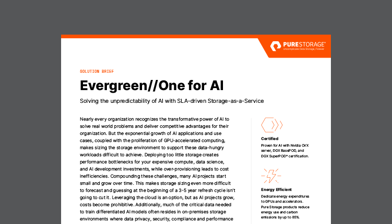 Evergreen//One for AI | Insight